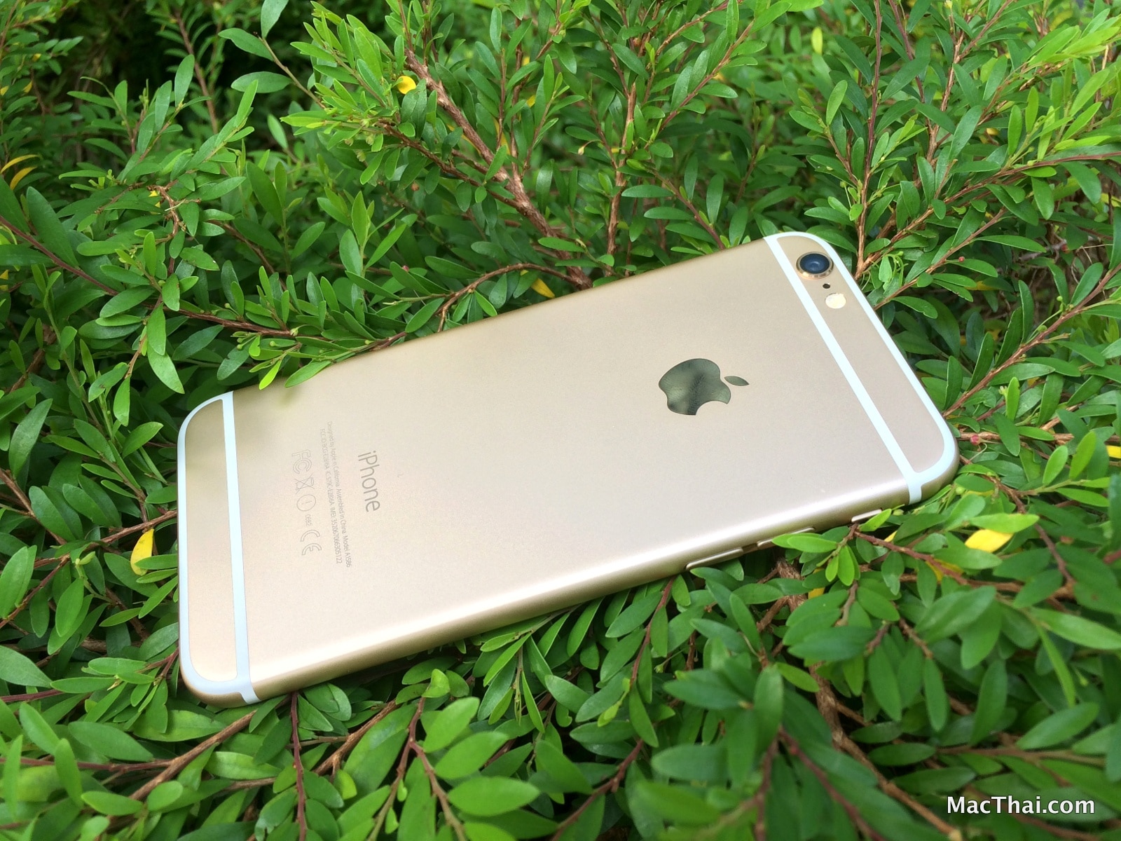 มินิรีวิว: iPhone 6 และ iPhone 6 Plus จากประสบการณ์ใช้งานจริง