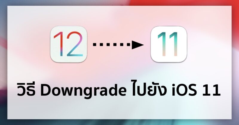 วิธี Downgrade จาก iOS 12 กลับไป iOS 11 บน iPhone, iPad, iPod touch