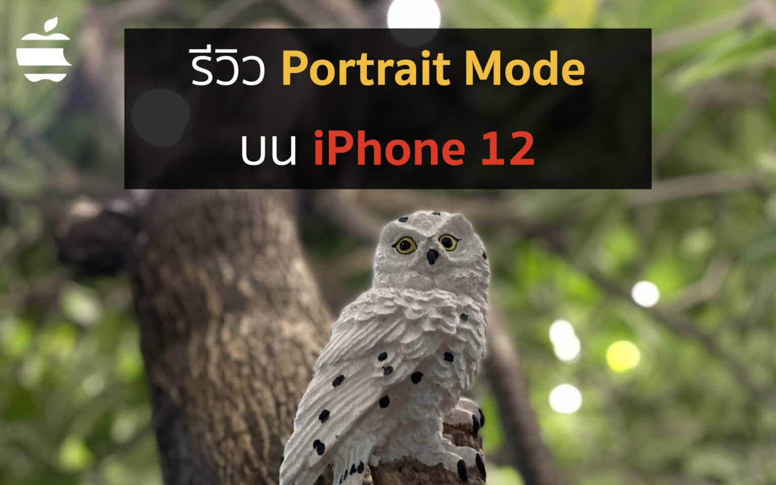 รีวิว Portrait Mode บน iPhone 12